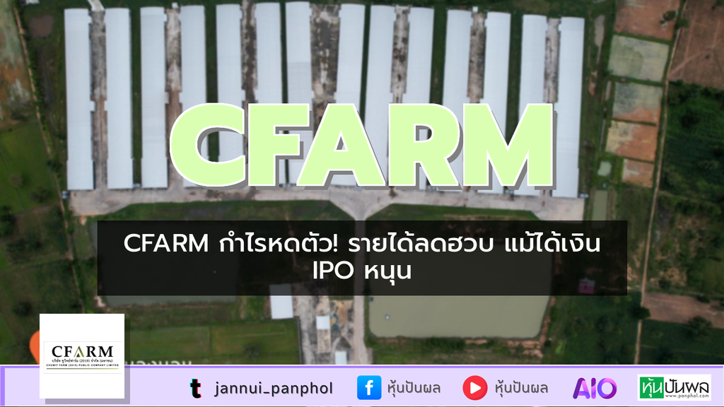 AiO : CFARM กำไรหดตัว! รายได้ลดฮวบ แม้ได้เงิน IPO หนุน - ข่าวหุ้น