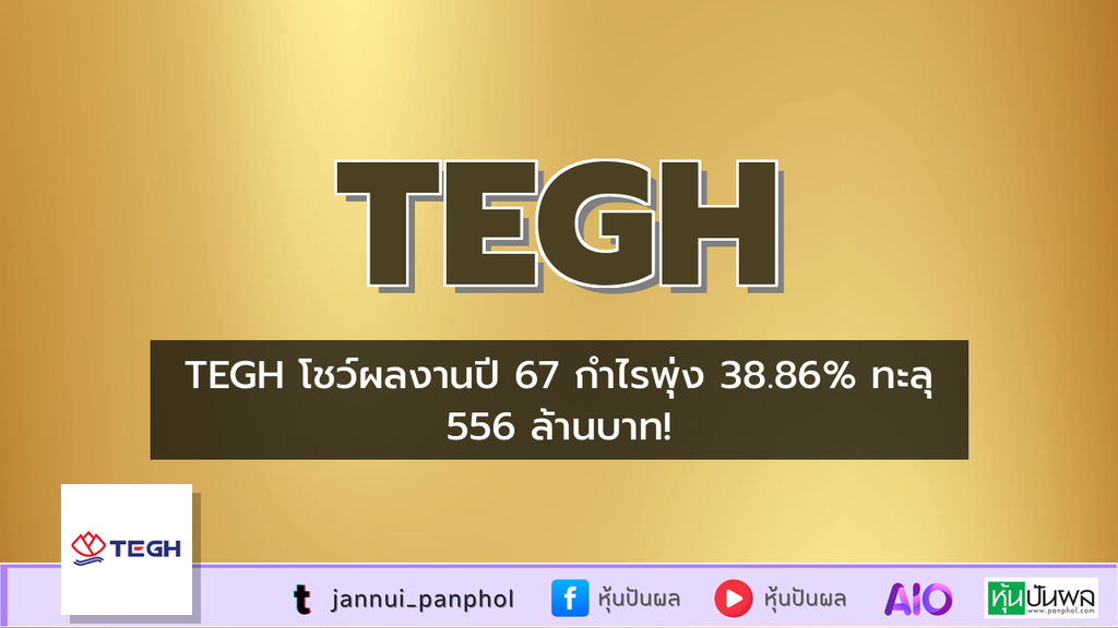 AiO : TEGH โชว์ผลงานปี 67 กำไรพุ่ง 38.86% ทะลุ 556 ล้านบาท! - ข่าวหุ้น