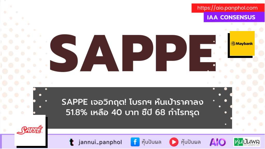AiO : SAPPE เจอวิกฤต! โบรกฯ หั่นเป้าราคาลง 51.8% เหลือ 40 บาท ชี้ปี 68 กำไรทรุด - ข่าวหุ้น