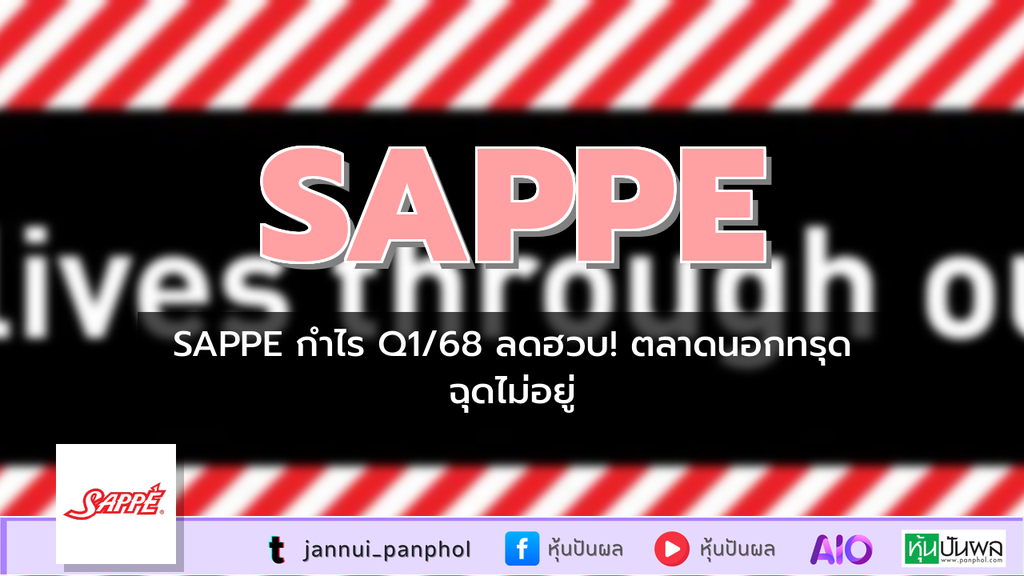 AiO : SAPPE กำไร Q1/68 ลดฮวบ! ตลาดนอกทรุด ฉุดไม่อยู่ - ข่าวหุ้น