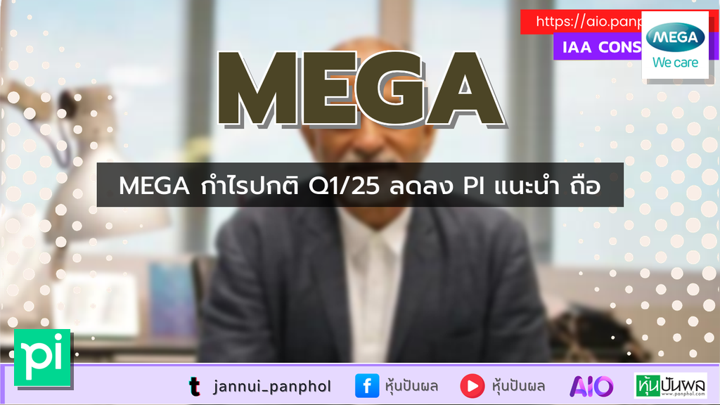 AiO : MEGA กำไรปกติ Q1/25 ลดลง PI แนะนำ ถือ - ข่าวหุ้น