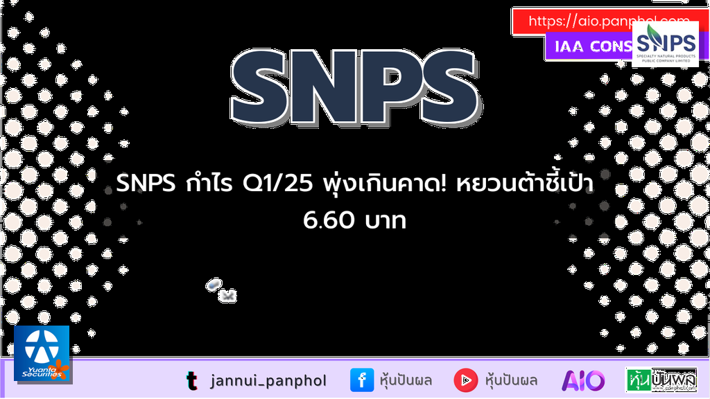 AiO : SNPS กำไร Q1/25 พุ่งเกินคาด! หยวนต้าชี้เป้า 6.60 บาท - ข่าวหุ้น